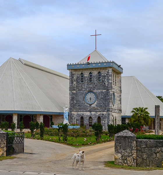 Tongan Community – Catholic Diocese of Wollongong