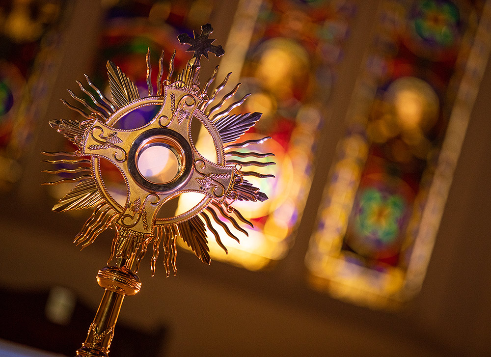 Can you not watch one hour with me? – Catholic Diocese of Wollongong