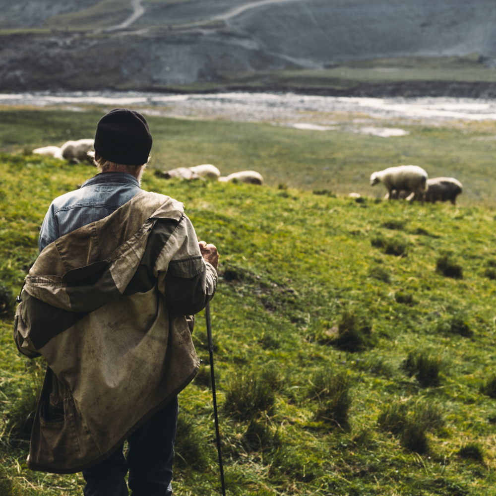 Good Shepherds – 4th Sunday of Easter – Year A – Catholic Diocese of ...