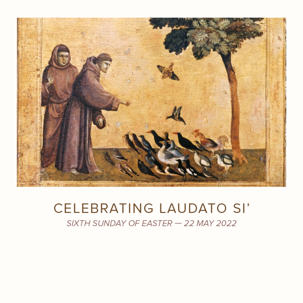 Celebrating Laudato Si’ Sunday – Catholic Diocese of Wollongong